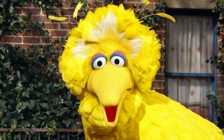 Sesame Street Asks Obama Campaign To Take Down Big Bird Ad