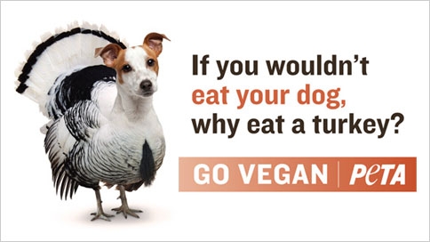 PETA Asks Obama To Stop Turkey-Pardoning Ceremony, Compares Turkeys To ...