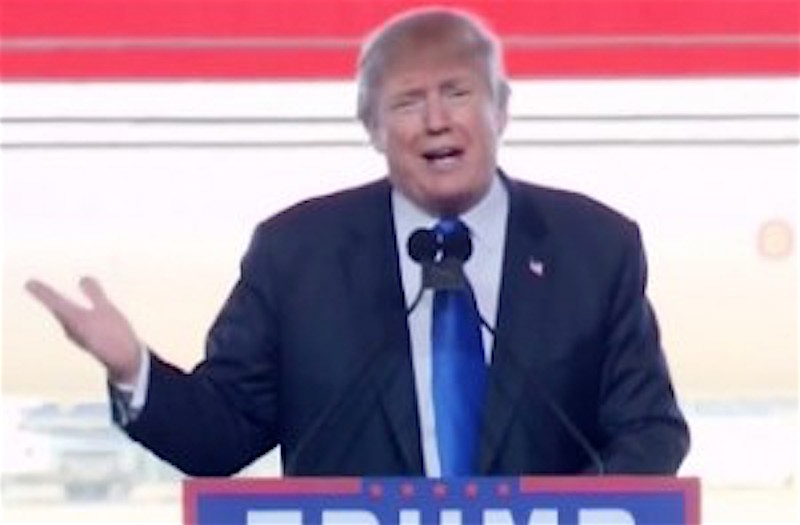 The Man Who Used ‘Schlonged’ Before Trump Did Speaks Out Because We ...