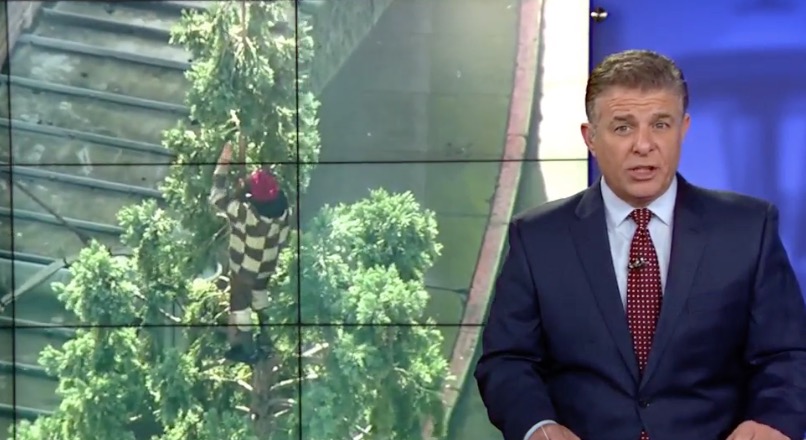 WATCH Seattle Tree Man LIVE STREAM