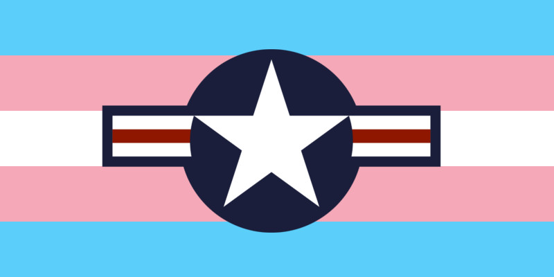 Undercovered: One of the Estimated 12,800 Transgender Service Members ...