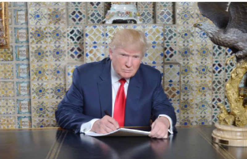 Trump for Dummies: The Ultimate Guide For Responding to Friends Who ...