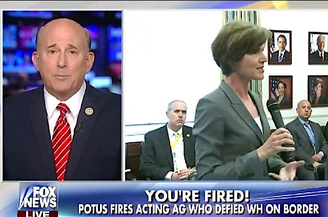Louie Gohmert: Sally Yates is a ‘Political Hack’ and ‘Hacks Have to be ...