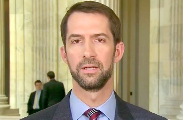 Cotton Strikes Back After Graham Diss: At Least Steve King Can ‘Win an ...