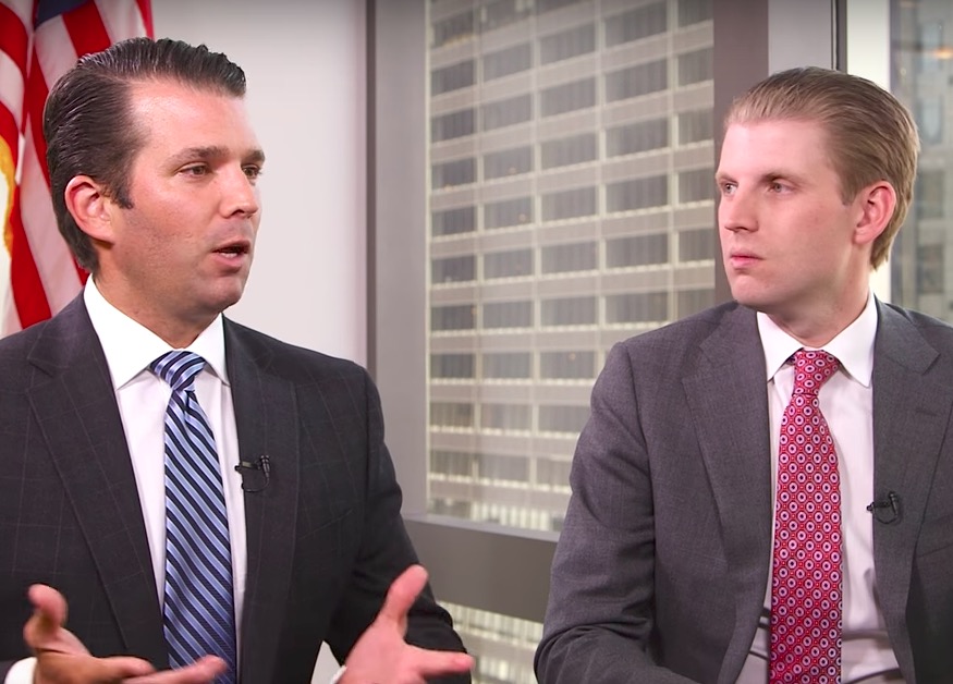 Amid Scandals, Don Jr. and Eric Trump Reportedly Met With GOP Leaders ...