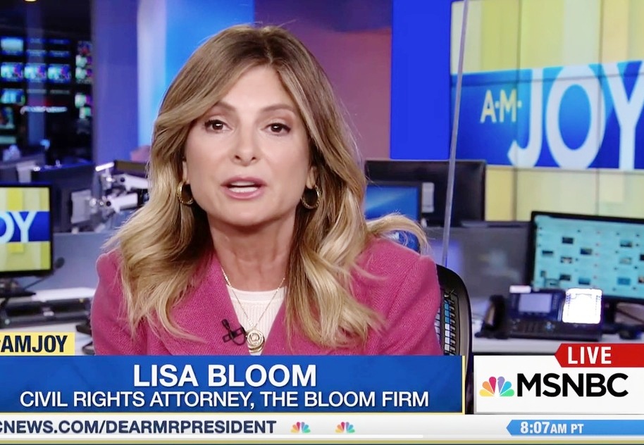 Lisa Bloom Slams ‘Lack of Authenticity’ in Ivanka Trump’s #WomenWhoWork ...