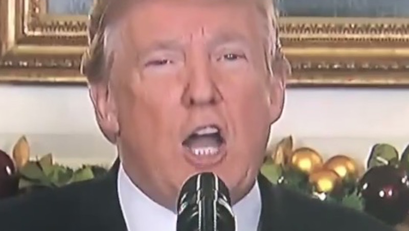 We Report You Decide: Did Trump’s Dentures Almost Fall Out During His ...