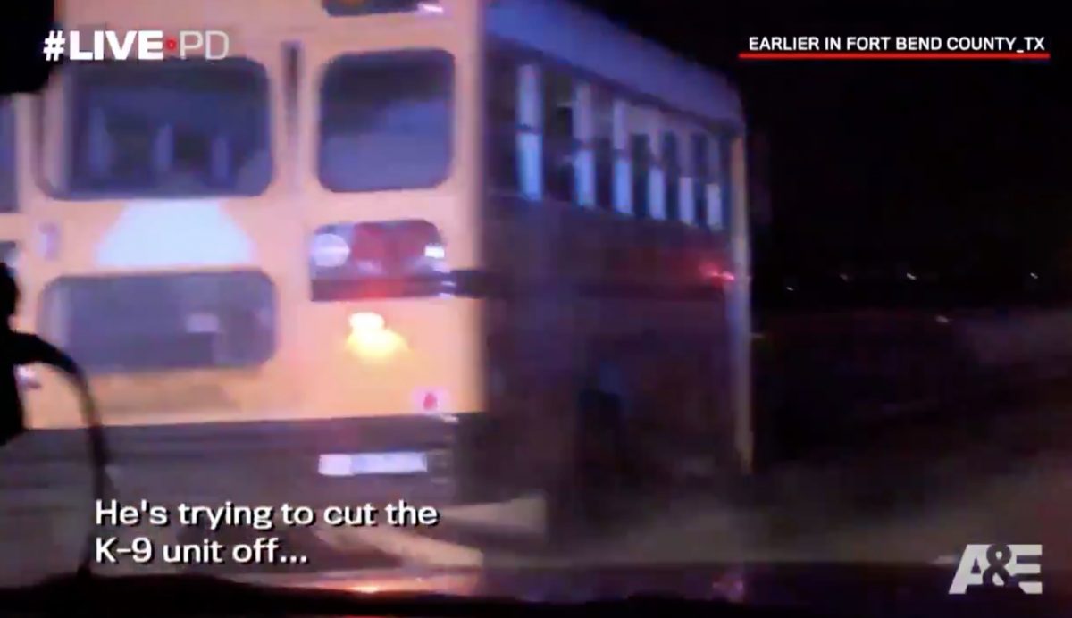 WATCH: Stolen School Bus Takes Police on Wild Chase