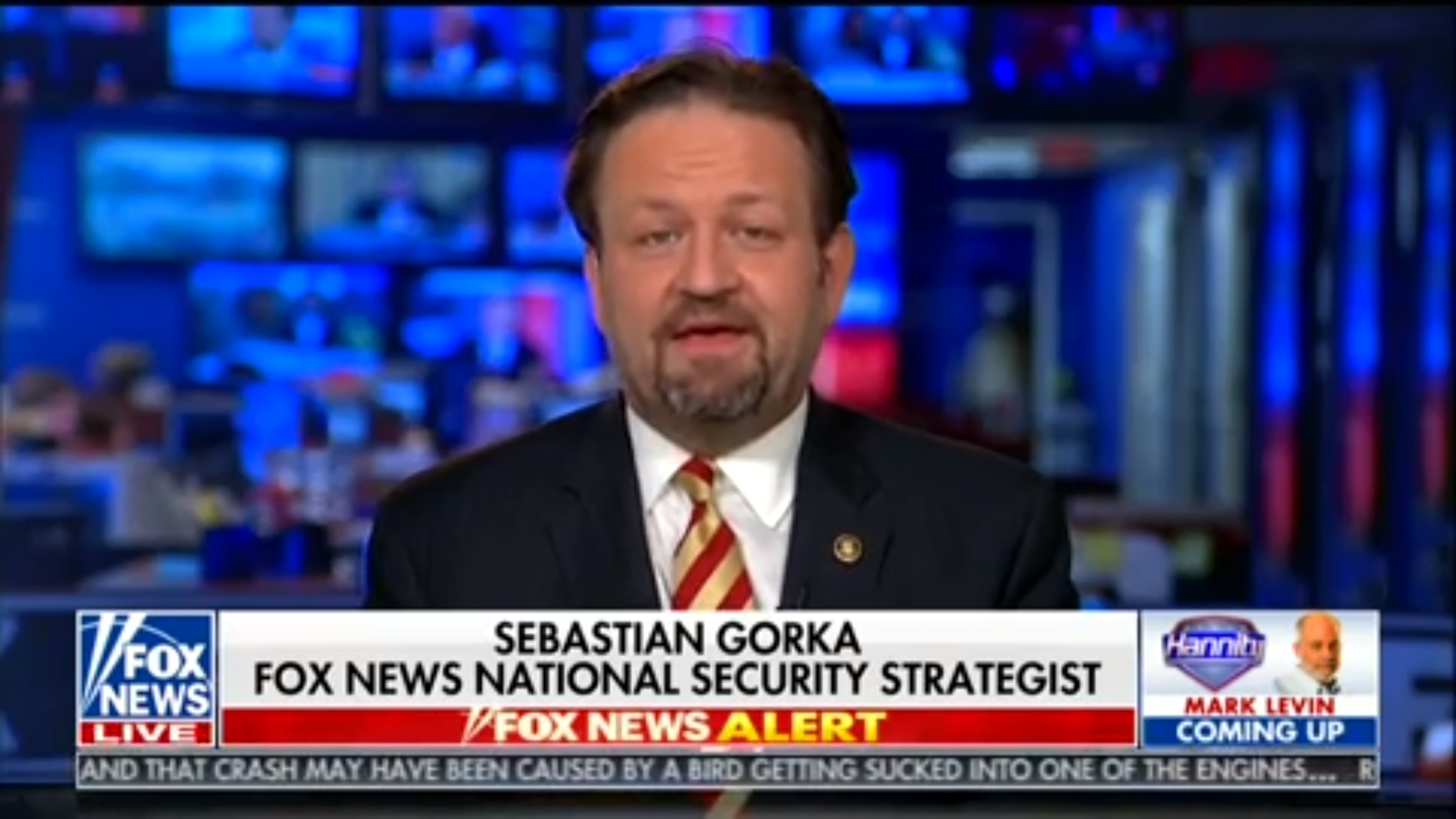 Seb Gorka Congratulates Hannity for ‘Living Rent Free’ in the ‘Obsessed ...