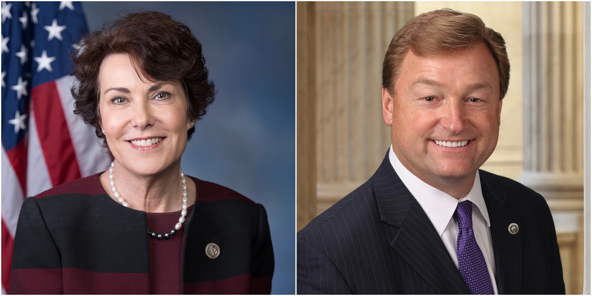 Who Won Nevada Governor Race: Dean Heller vs Jackie Rosen