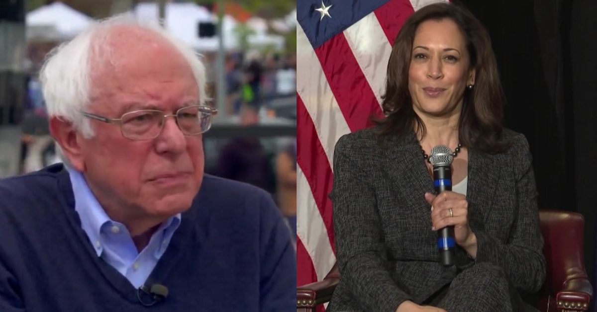 Kamala Harris Ties Bernie Sanders in Early Democratic Primary States