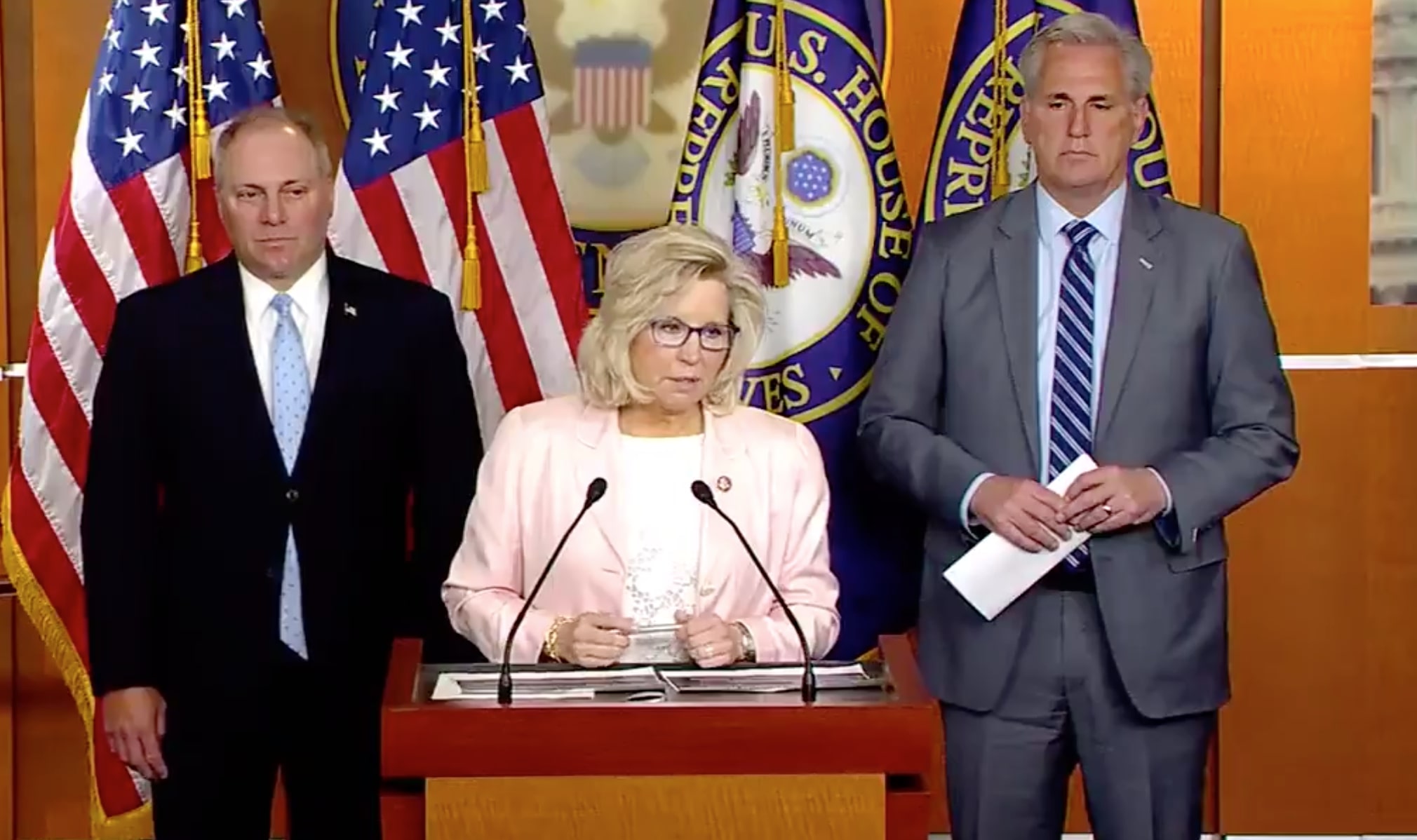 Cheney Was Co-Captain Of Trump's 2020 Reelection Bid: Email