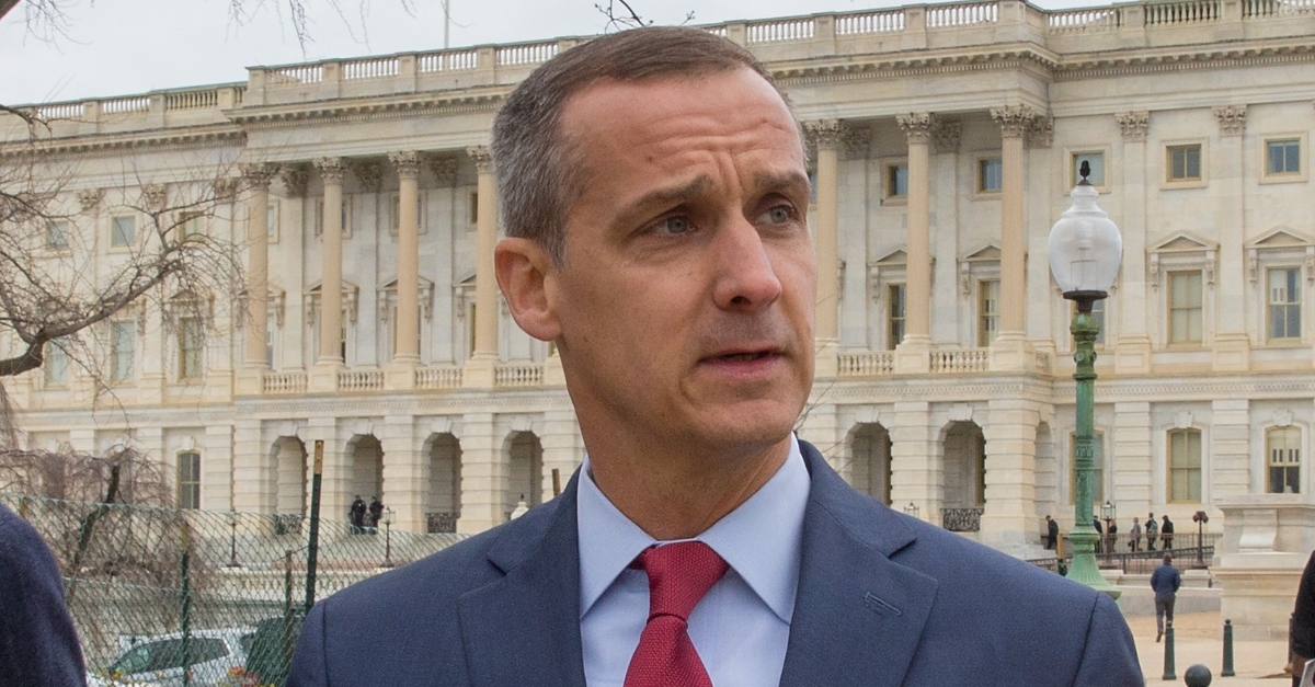 Is Corey Lewandowski Running for Senate?