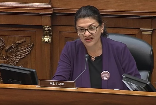Rep. Rashida Tlaib Goes on Bizarre Tirade During Vape Hearing