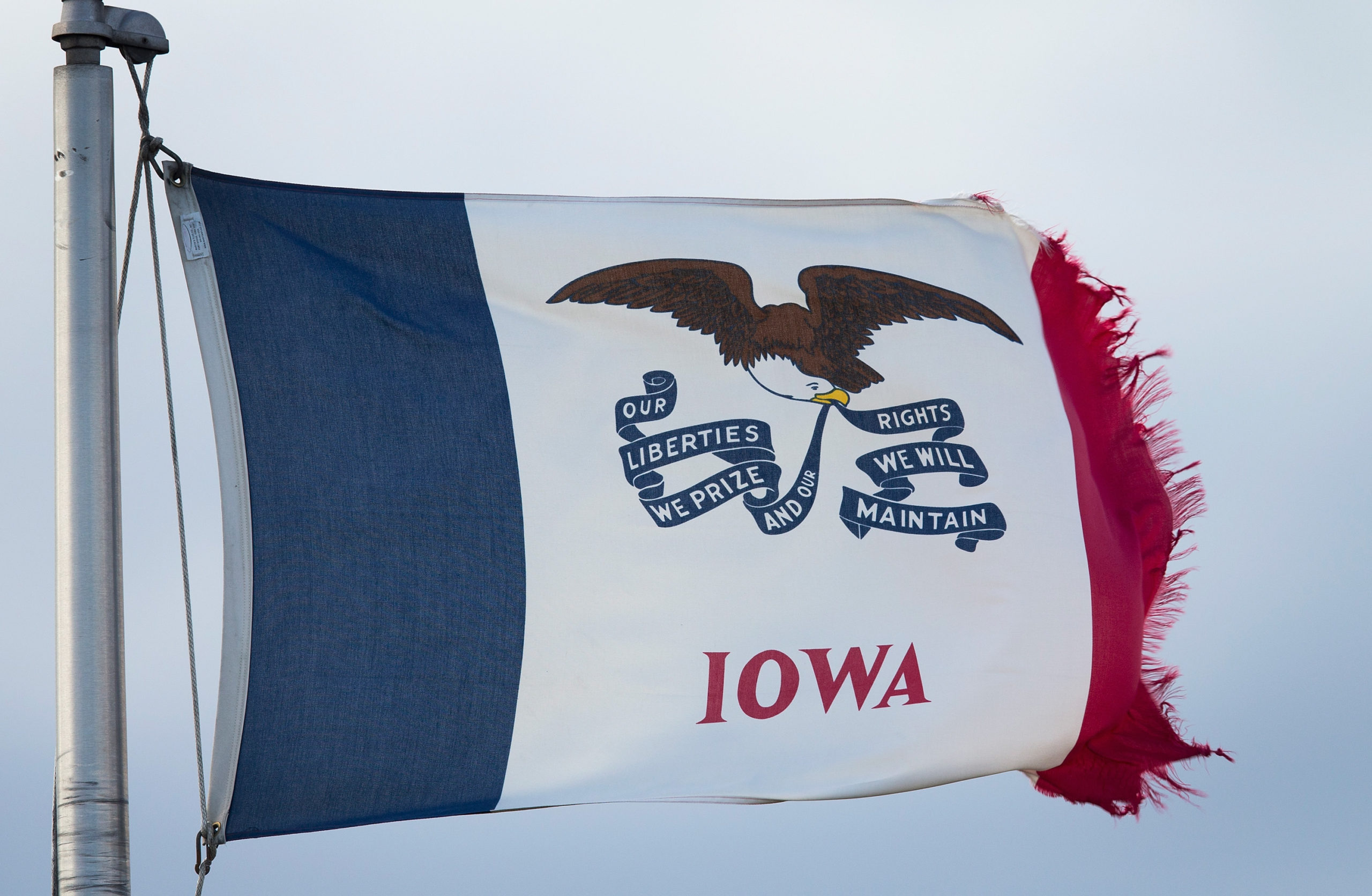 Who is Winning Iowa in 2020 Election? Live Polls