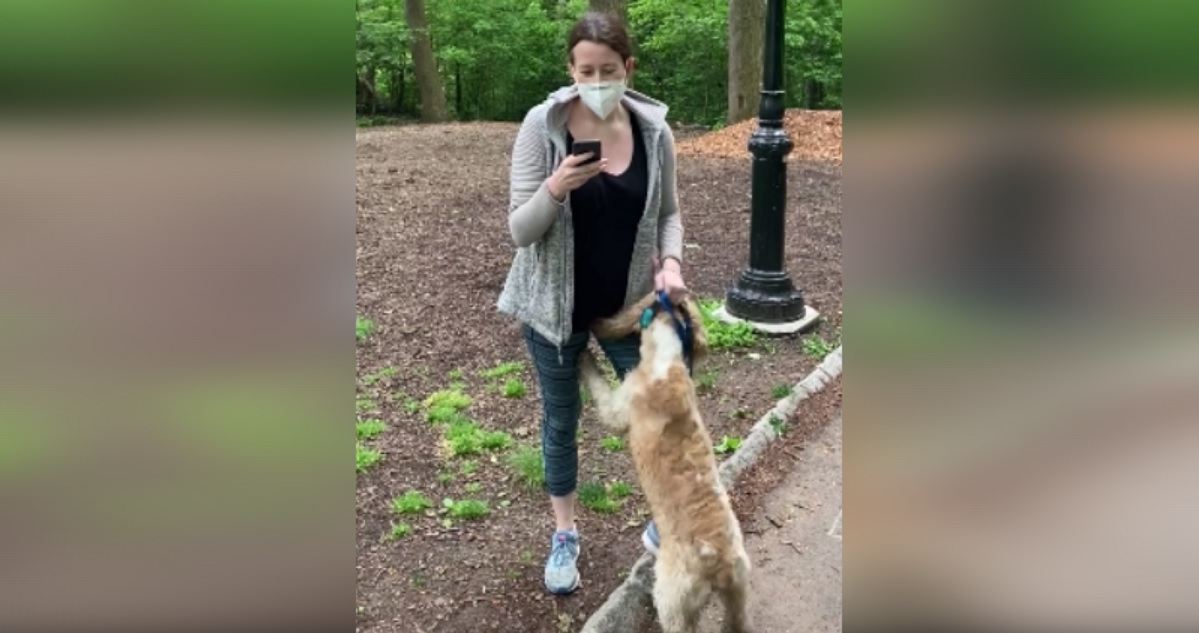 Franklin Templeton Has Fired Amy Cooper Over 'Racism'