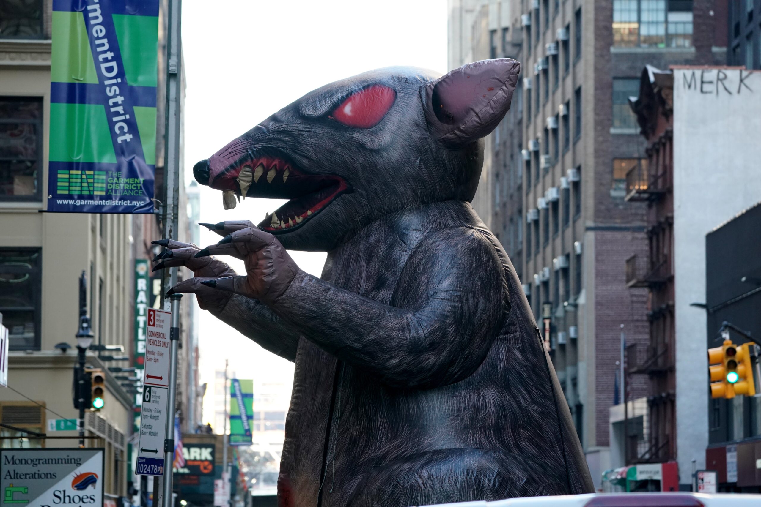 CDC Warns Lockdown May Lead to Surge of 'Aggressive' Rodents