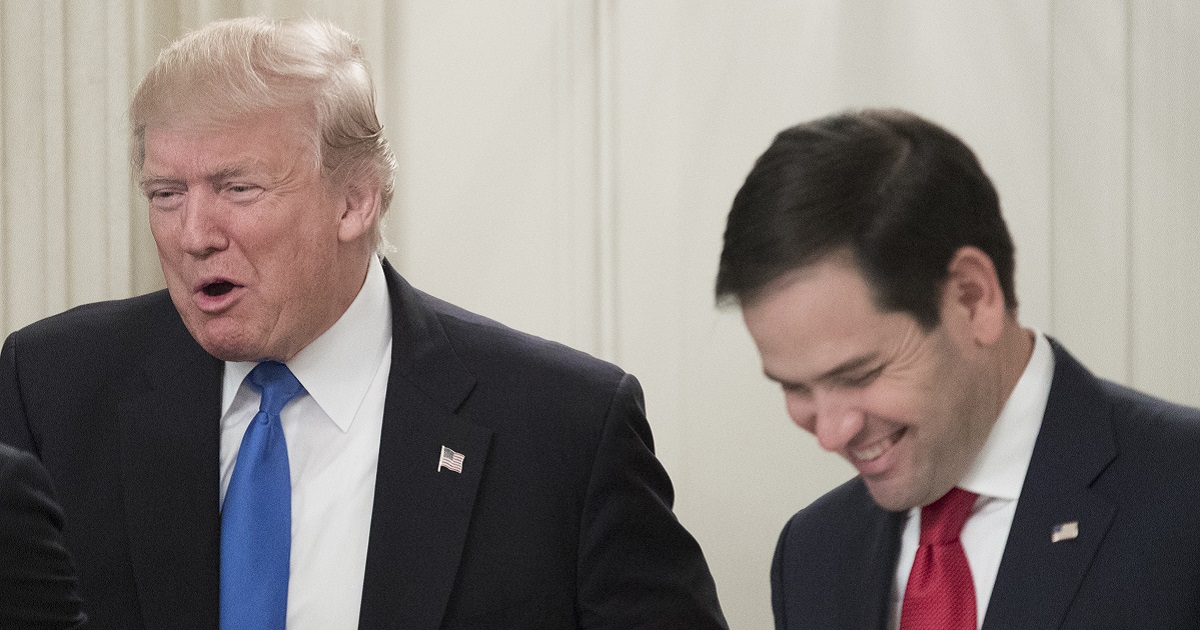 Trump Endorses Marco Rubio for Senate