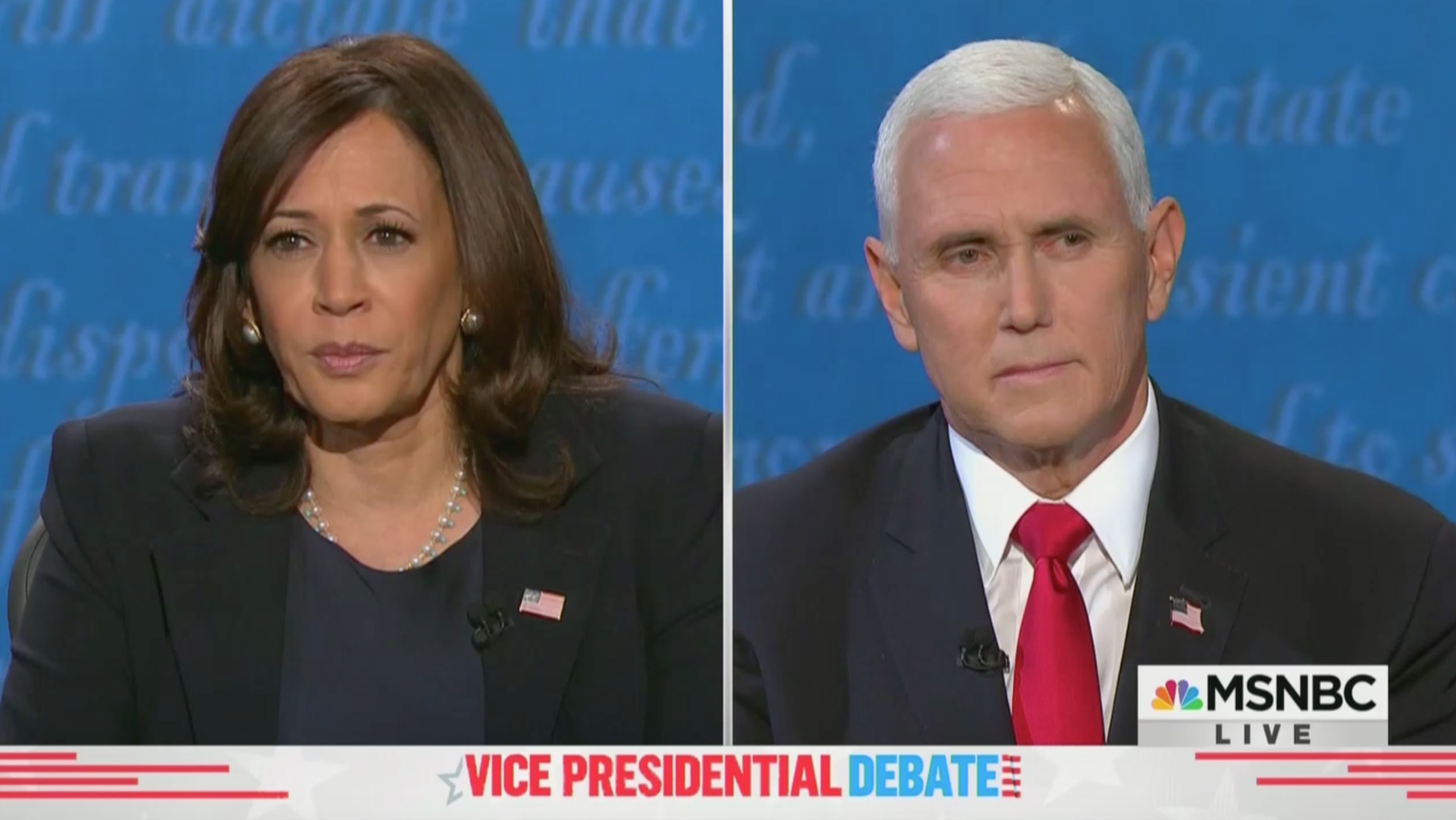 What Was This Noise During the Vice Presidential Debate?