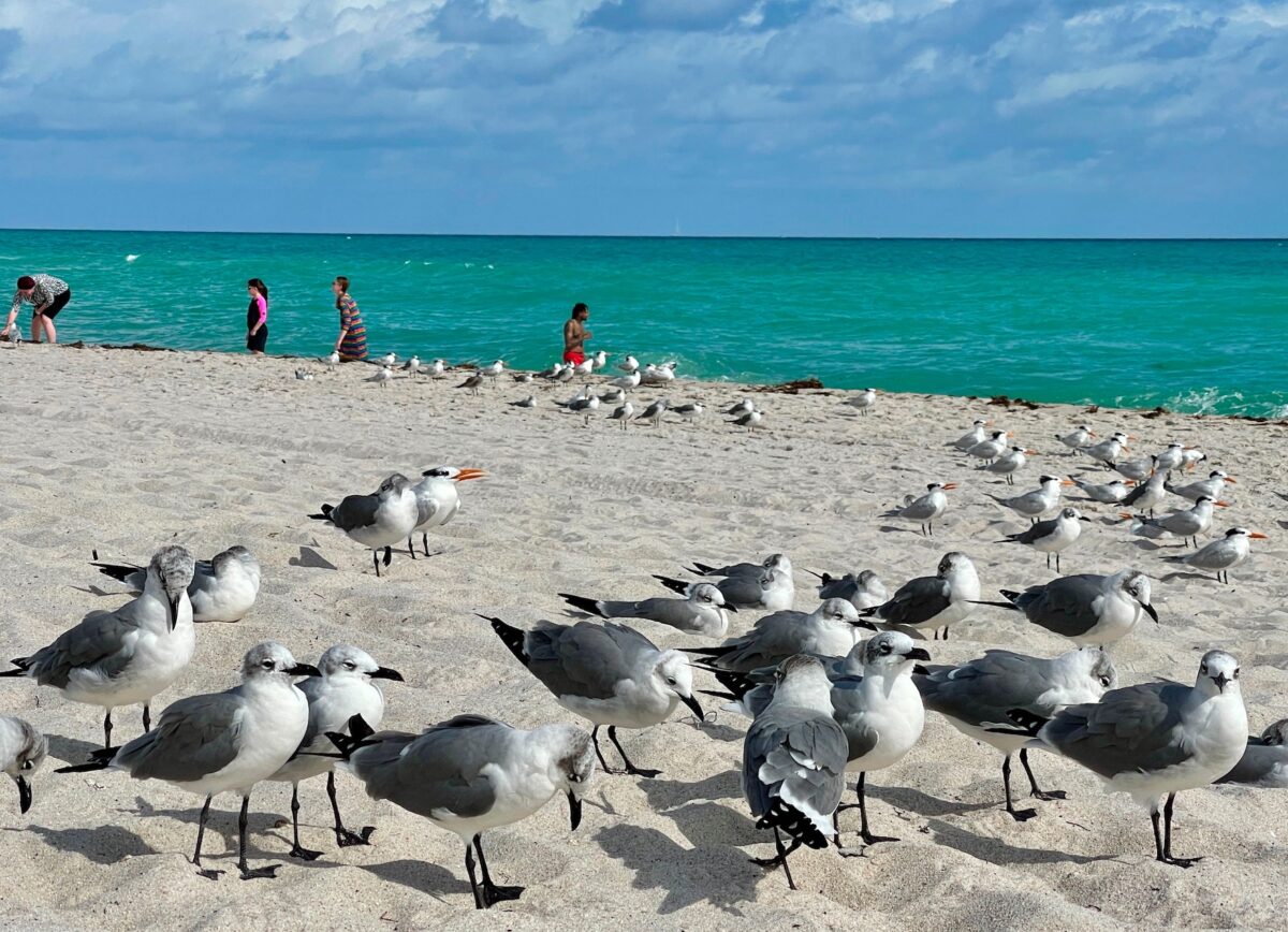 Florida Becomes 3rd State to Discover 'Super' Covid-19
