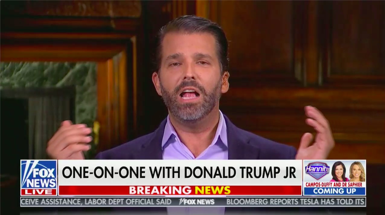 Donald Trump Jr. Blasts Republicans Who 'Lose Gracefully'