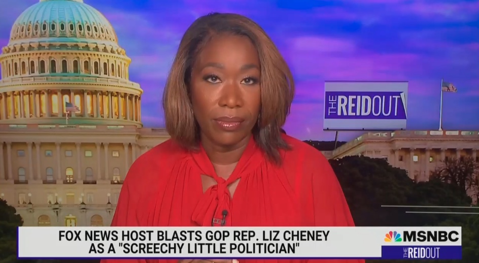 Joy Reid Says Fox Arguably 'Greatest Threat' to Democracy