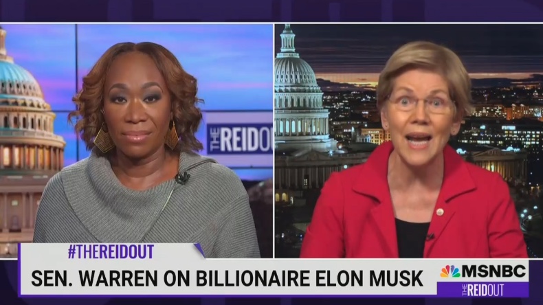 Elizabeth Warren Shreds Elon Musk After 'Karen' Tweet