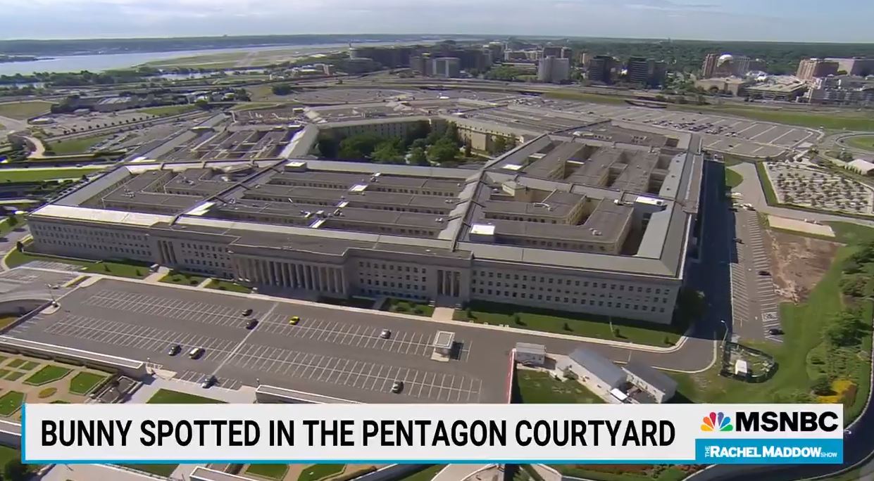 The Pentagon Courtyard