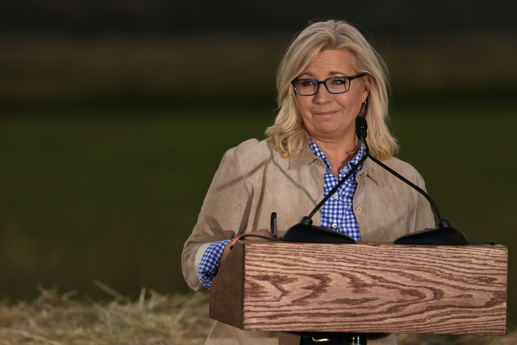 Liz Cheney Trolls Kari Lake on Twitter After Election Loss