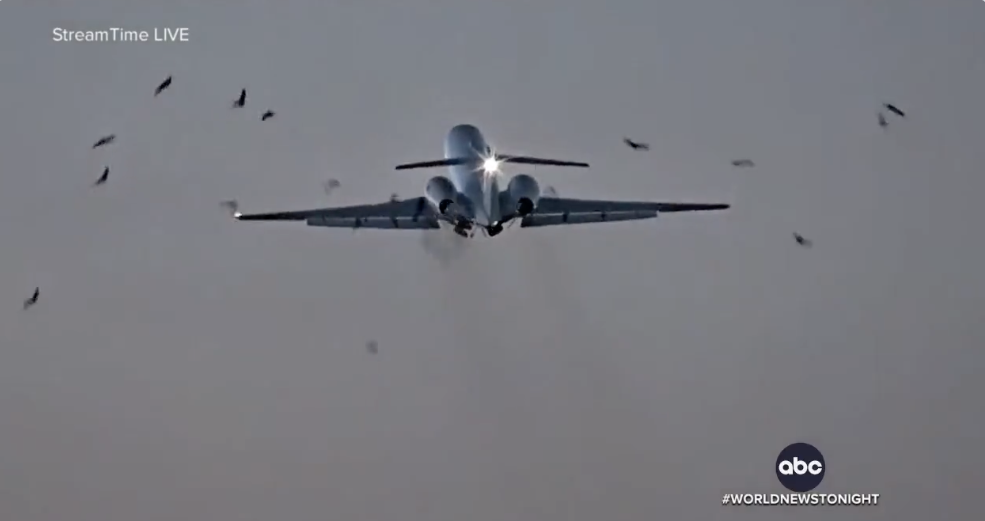 Watch: Plane Carrying High-Ranking Military Official Forced to Land ...