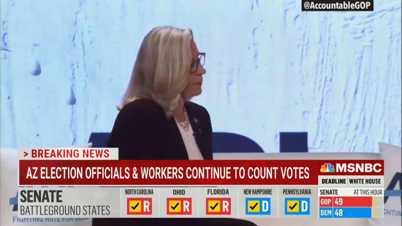 Liz Cheney Praised For Helping Stop 'Red Wave' On MSNBC