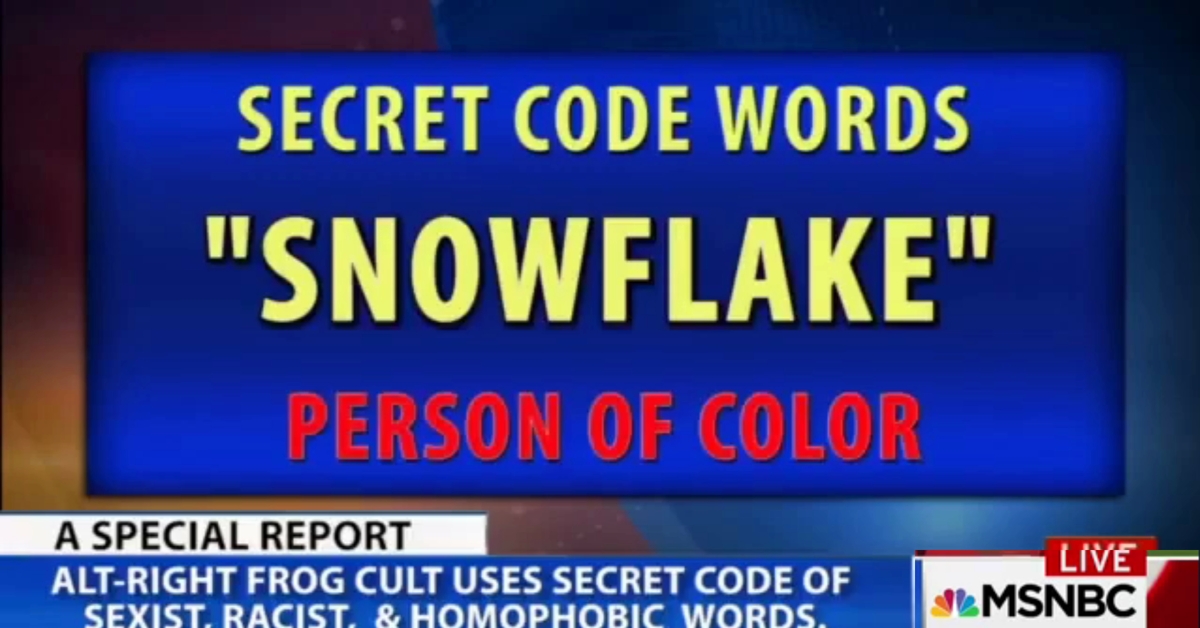 Right-Wing Twitter Mocks MSNBC Clip on Racist ‘Alt-Right’ Memes ...
