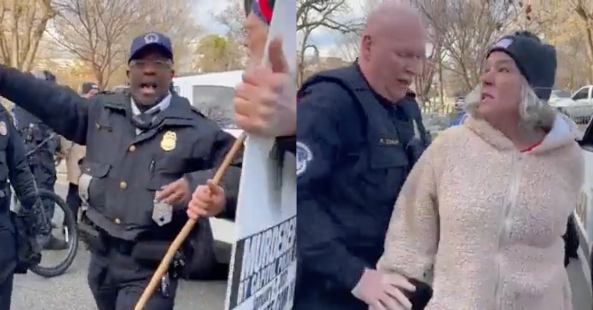 WATCH: Ashli Babbitt's Mother Arrested Outside Capitol