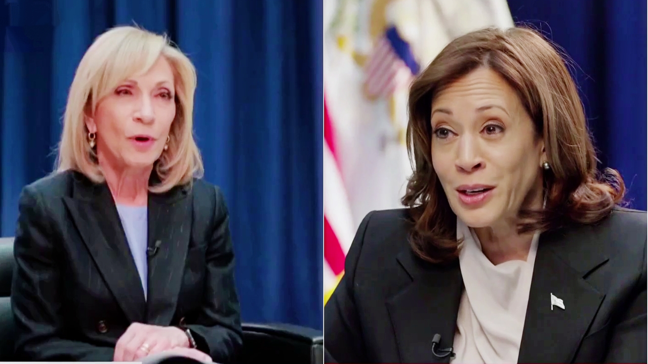 Andrea Mitchell Tells VP Kamala Harris Some Dems 'Don't Think You're ...