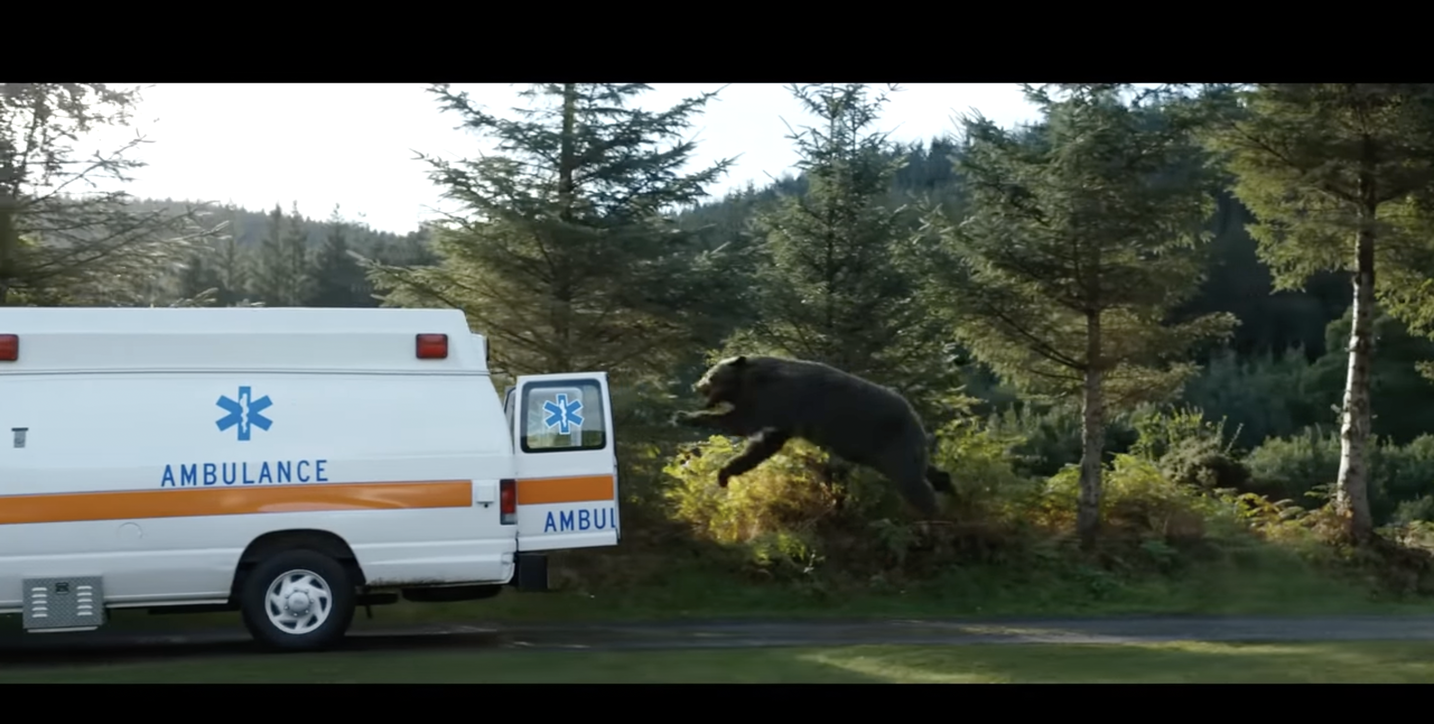 ‘Cocaine Bear’ Director Blasts Hollywood Executives Who Believe Only ...