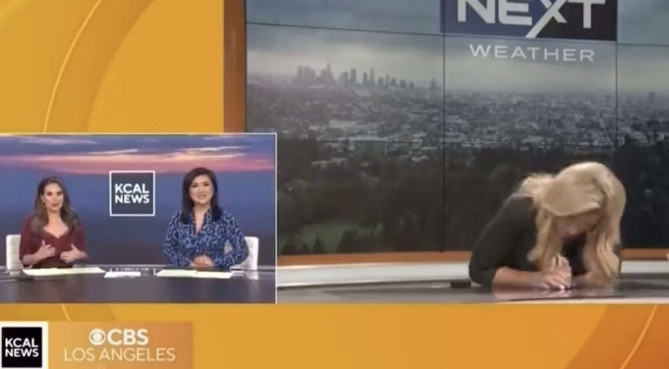 VIDEO: KCAL's Alissa Carlson Schwartz Collapses On Air