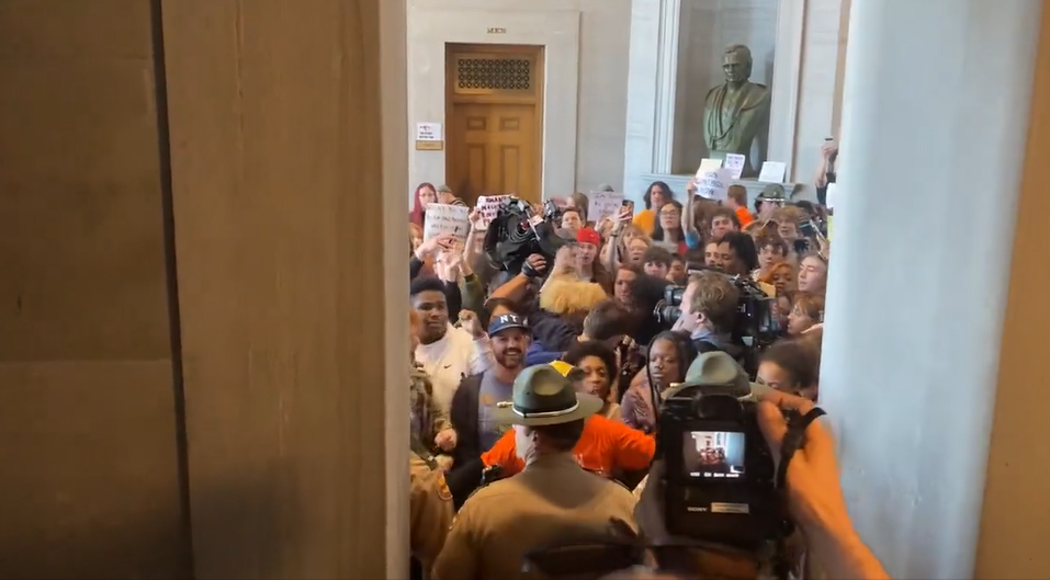Protesters Rally Inside Tennessee Capitol For Gun Control
