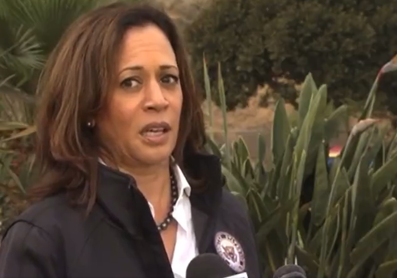 Kamala Harris Criticized Biden Border Move in Trump Years