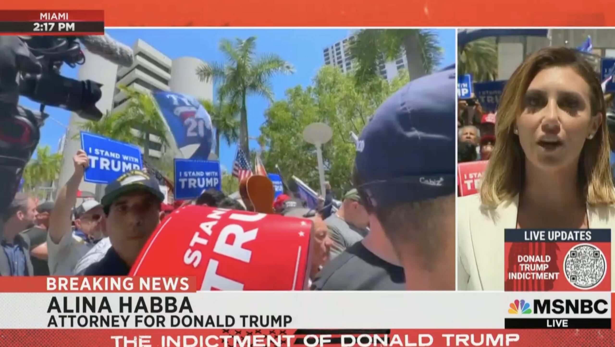 MSNBC Anchor Notes Trump Attorney's Background After Cutting Her Off