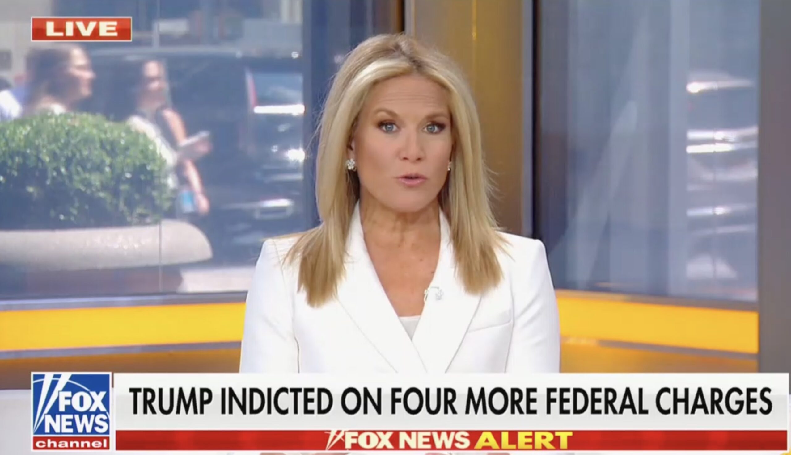MacCallum Says Trump Listened To The Attorneys He Wanted To