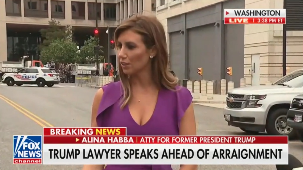 Alina Habba Concedes Trump ‘Was Made Aware That He Lost the Election’