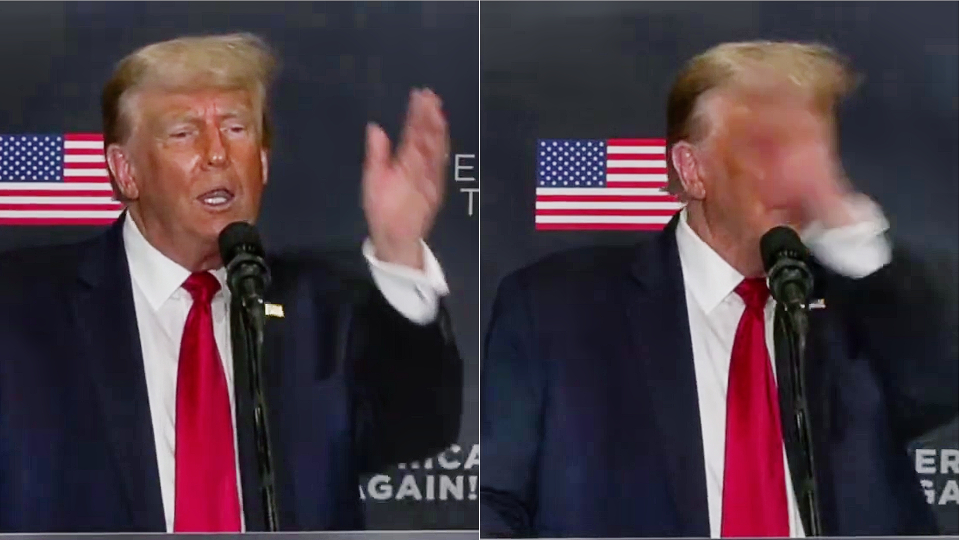 Trump Attacked By Flies During Speech — Makes Bizarre Claim