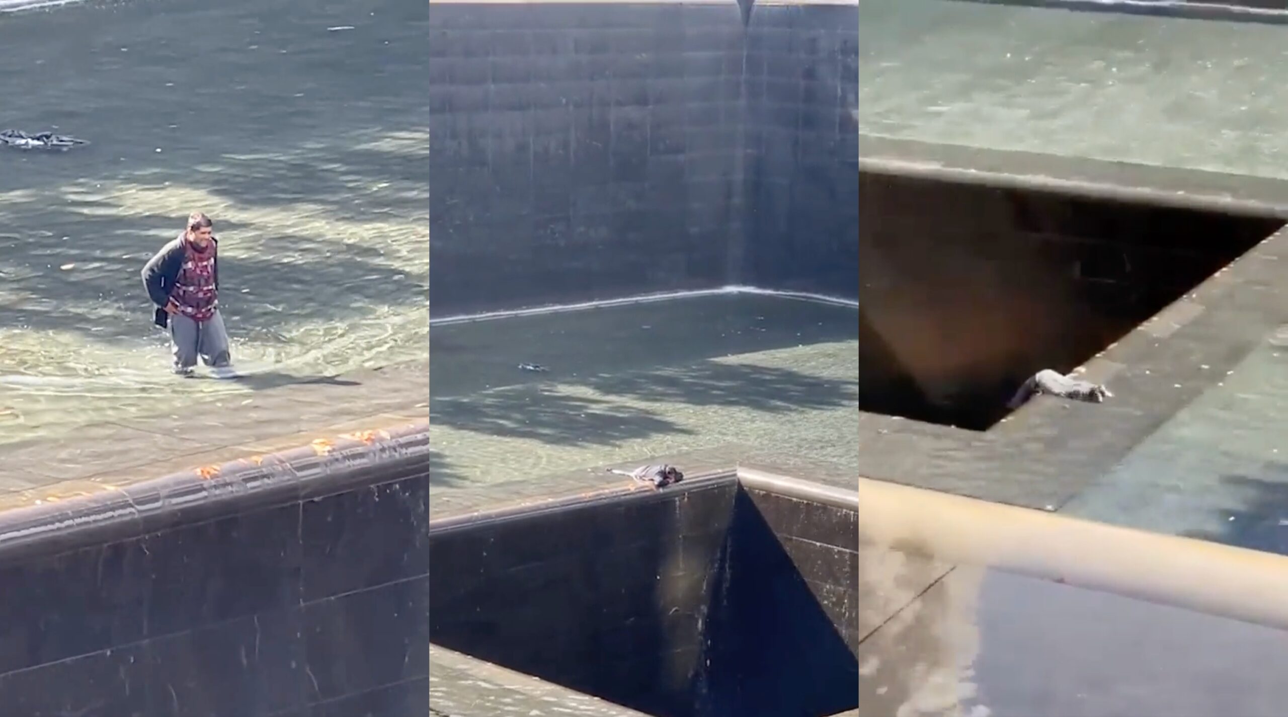 'Disturbed' Man Caught on Camera Dropping Into 9/11 Memorial Pool