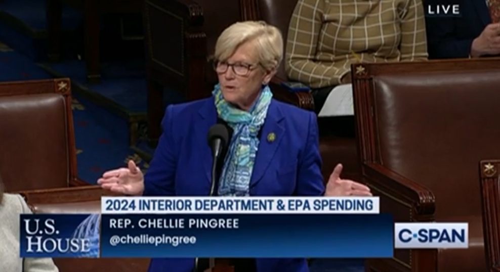 Chellie Pingree Mocks John Rose's Plastic Straw Amendment