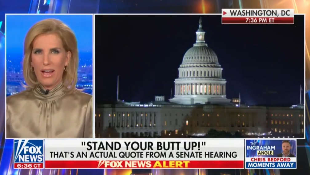 Laura Ingraham Scolds Republicans for Schoolyard Antics
