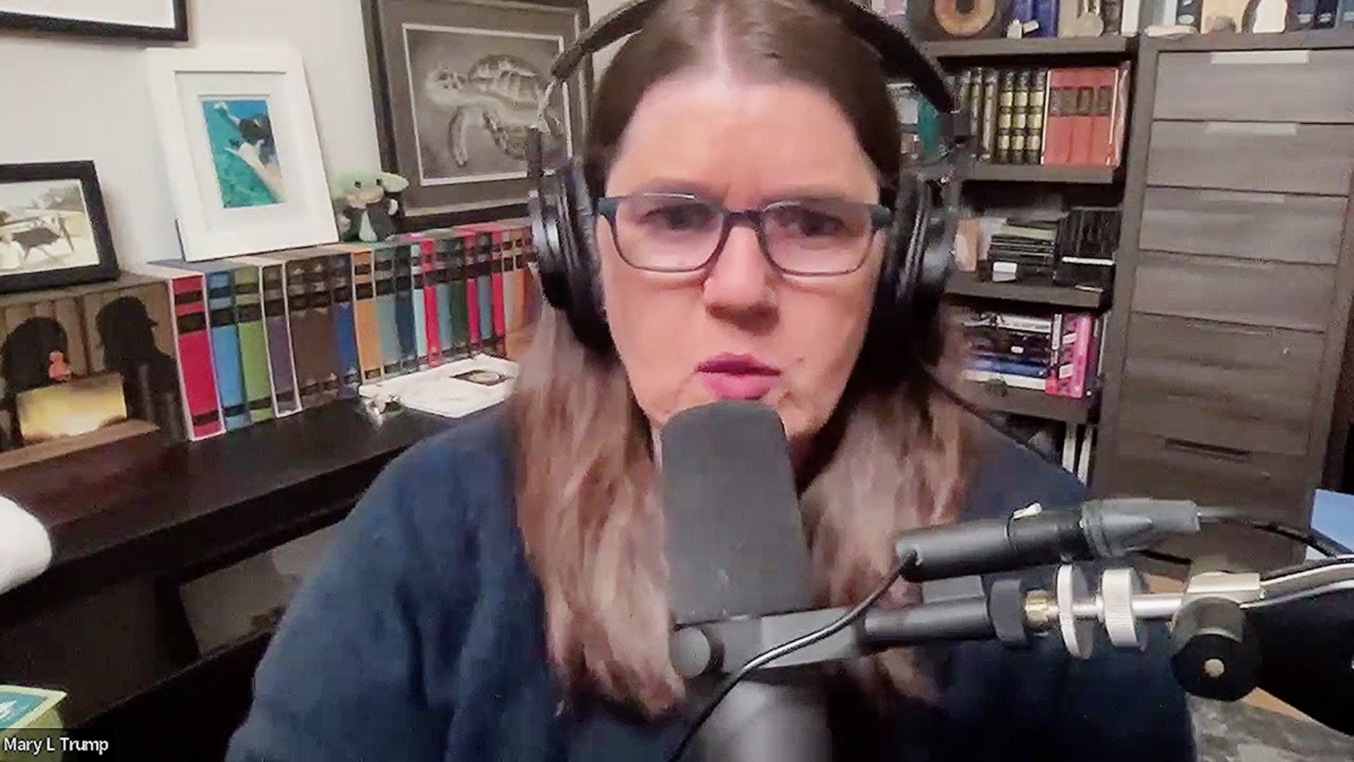 Mary Trump Rips MSNBC Over Ouster of Host Mehdi Hasan