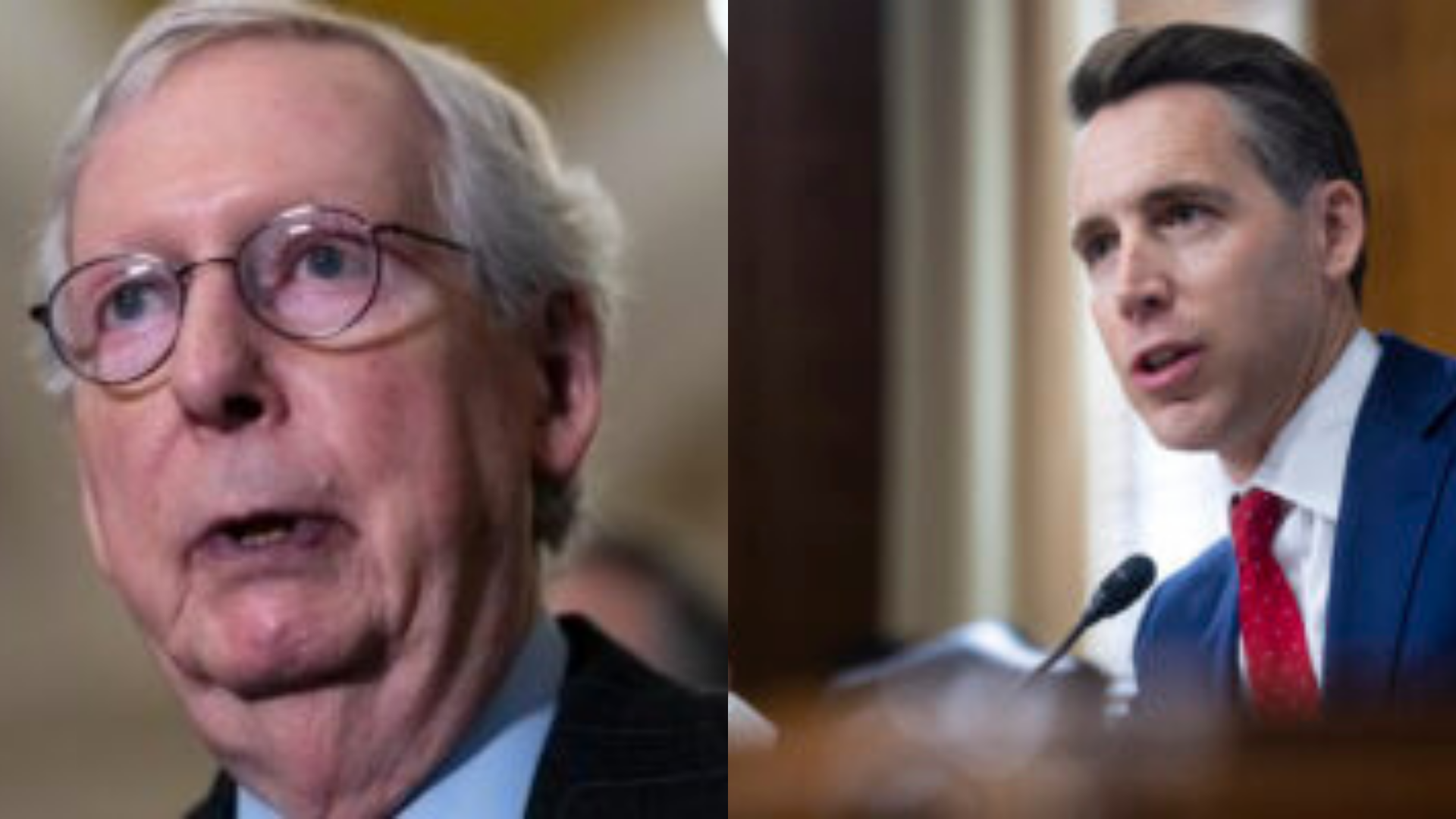 Foolish 'Conservatives' Celebrate Mitch McConnell's Exit