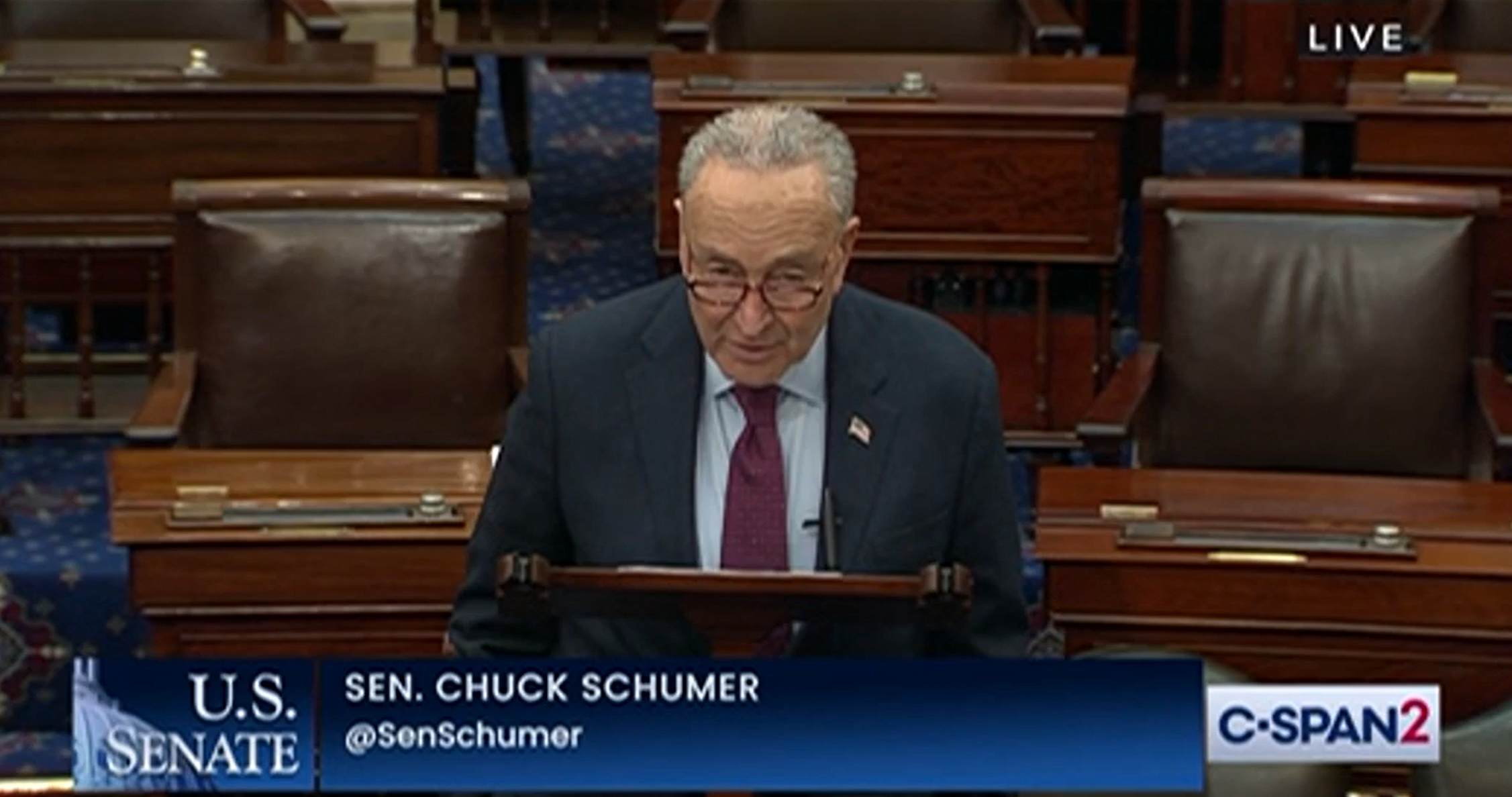 Schumer: Senate Has Set Deadline to Release Epstein Files