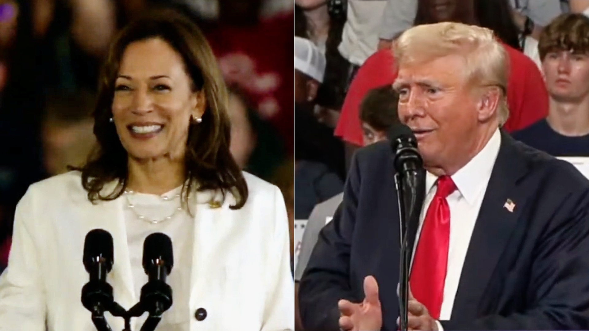 Donald Trump Has Been Calling Harris a 'B**ch' in Private