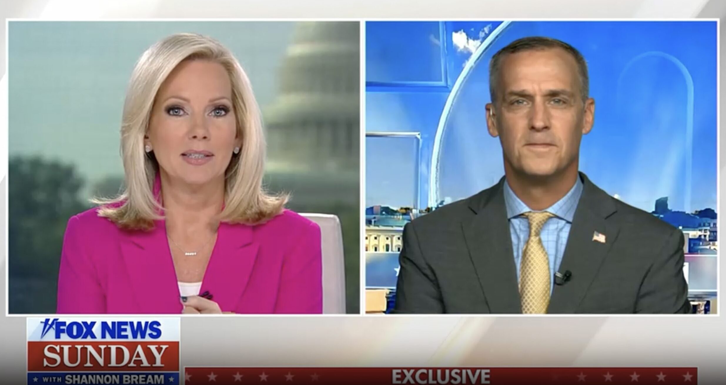Fox's Shannon Bream Checks Corey Lewandowski on Infanticide